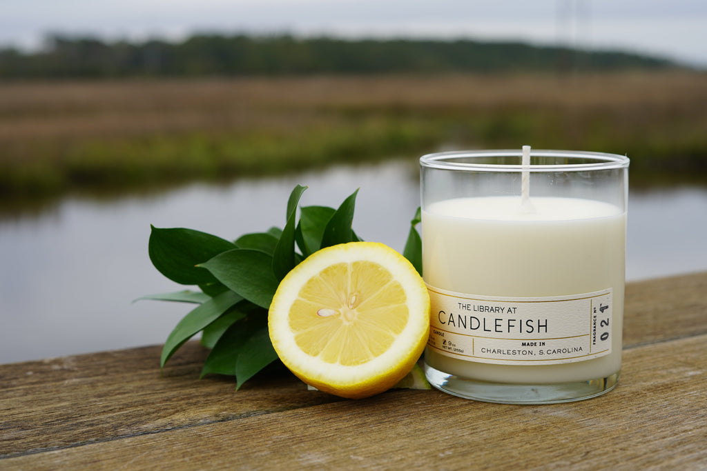 Collections – Candlefish